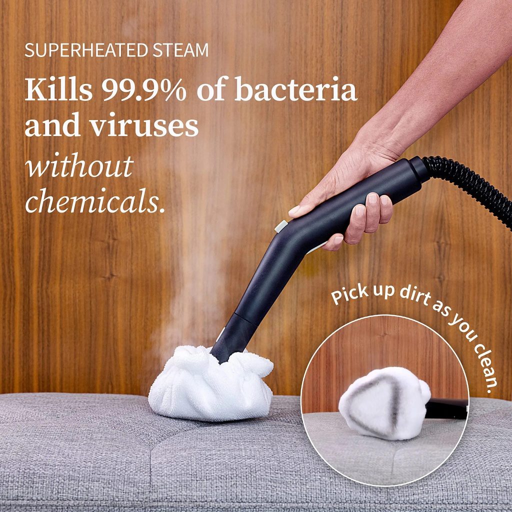 Dupray Advanced Steam Cleaner › Enchanted Celt