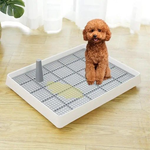 Compact Indoor Puppy Potty Tray with Anti-Splash Design › Enchanted Celt